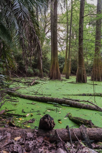 Parque Pereyra Iraola – Asociación Argentina de Fotógrafos de Naturaleza