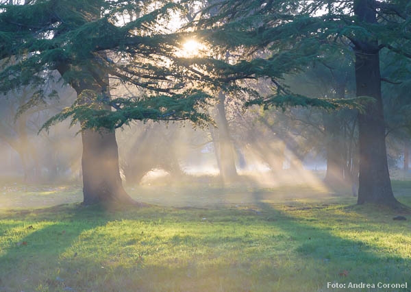 Parque Pereyra Iraola – Asociación Argentina de Fotógrafos de Naturaleza