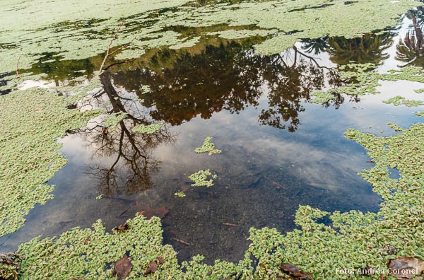 Parque Pereyra Iraola – Asociación Argentina de Fotógrafos de Naturaleza